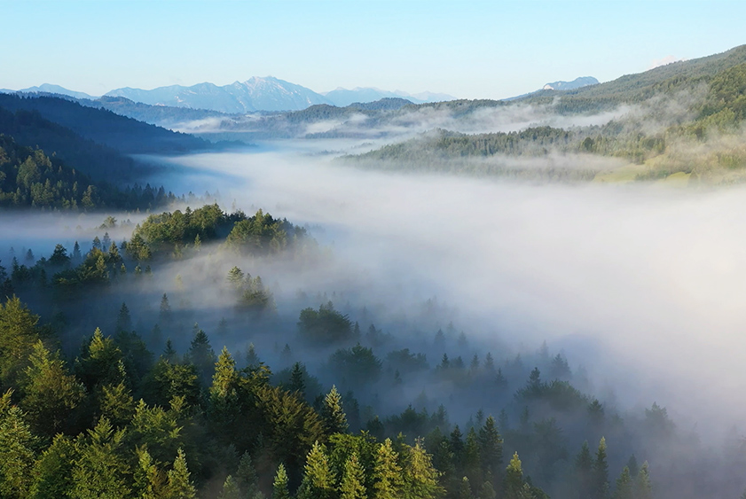 TOM PRIOR | Digi : Digital Agency